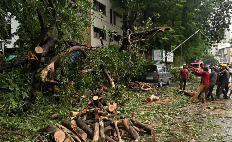 Navi Mumbai Drains Under 48 Hours of Heavy Rain; Trees Uprooted, Youth ...